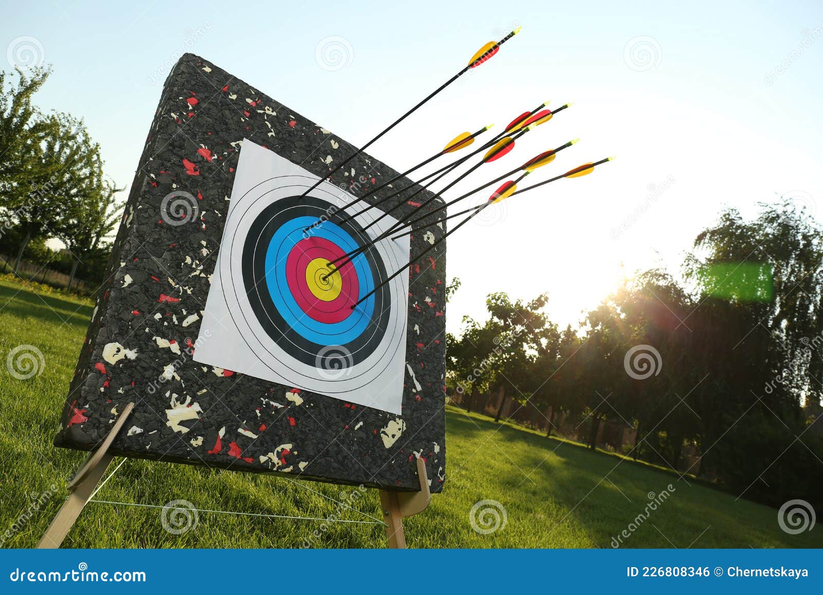 Arrows in Archery Target on Green Grass Stock Photo - Image of goal ...