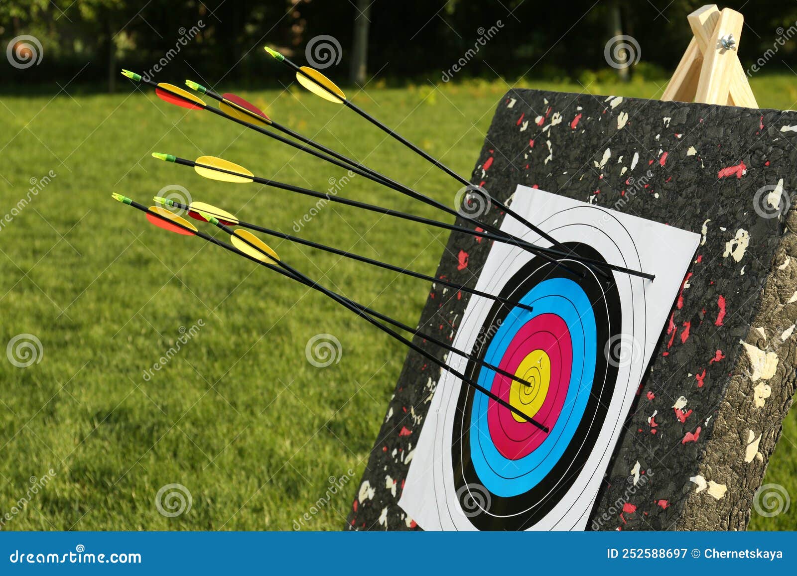 Arrows in Archery Target on Green Grass Outdoors Stock Image - Image of ...