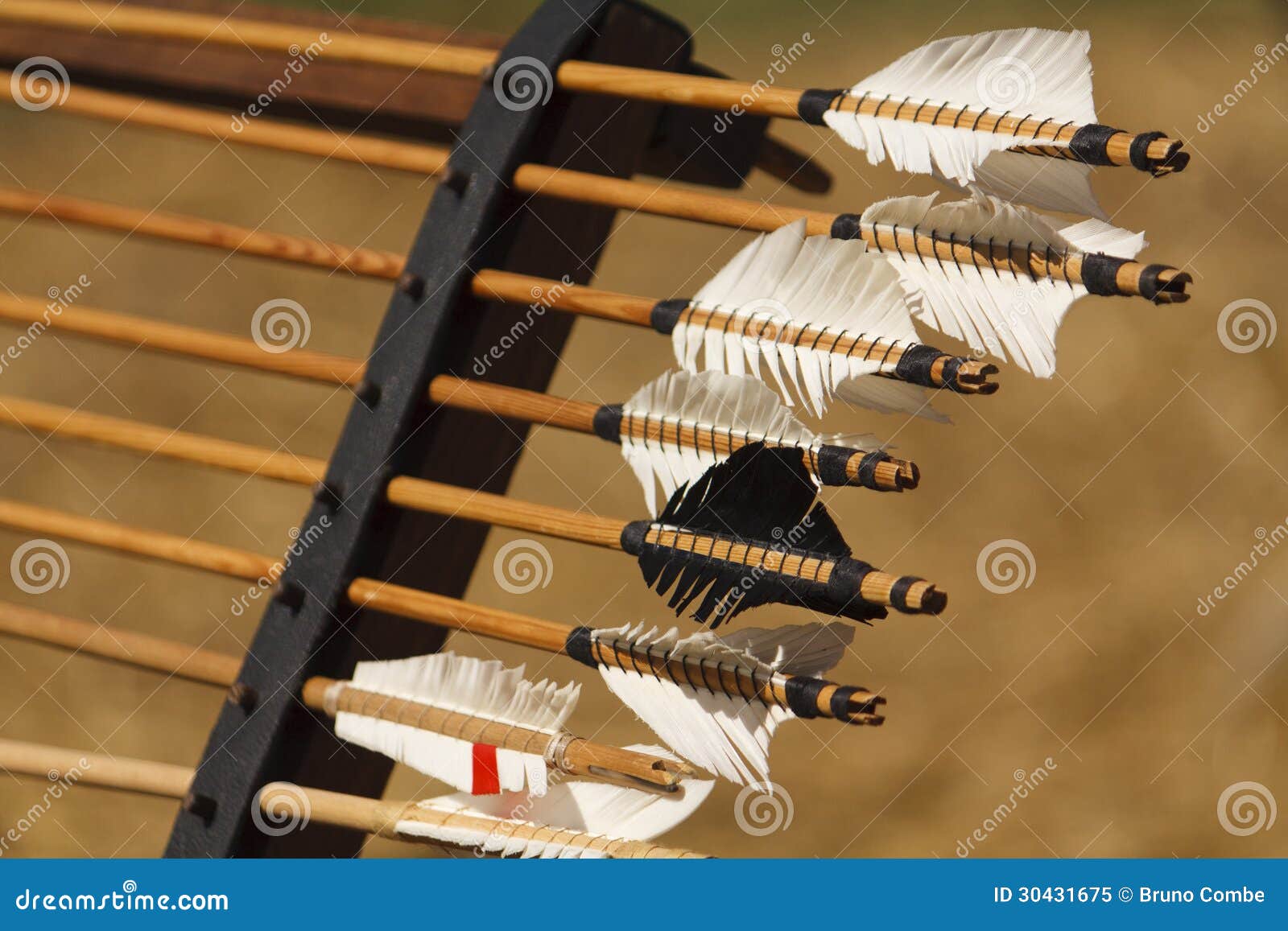 Arrows stock image. Image of weapons, weapon, display - 30431675