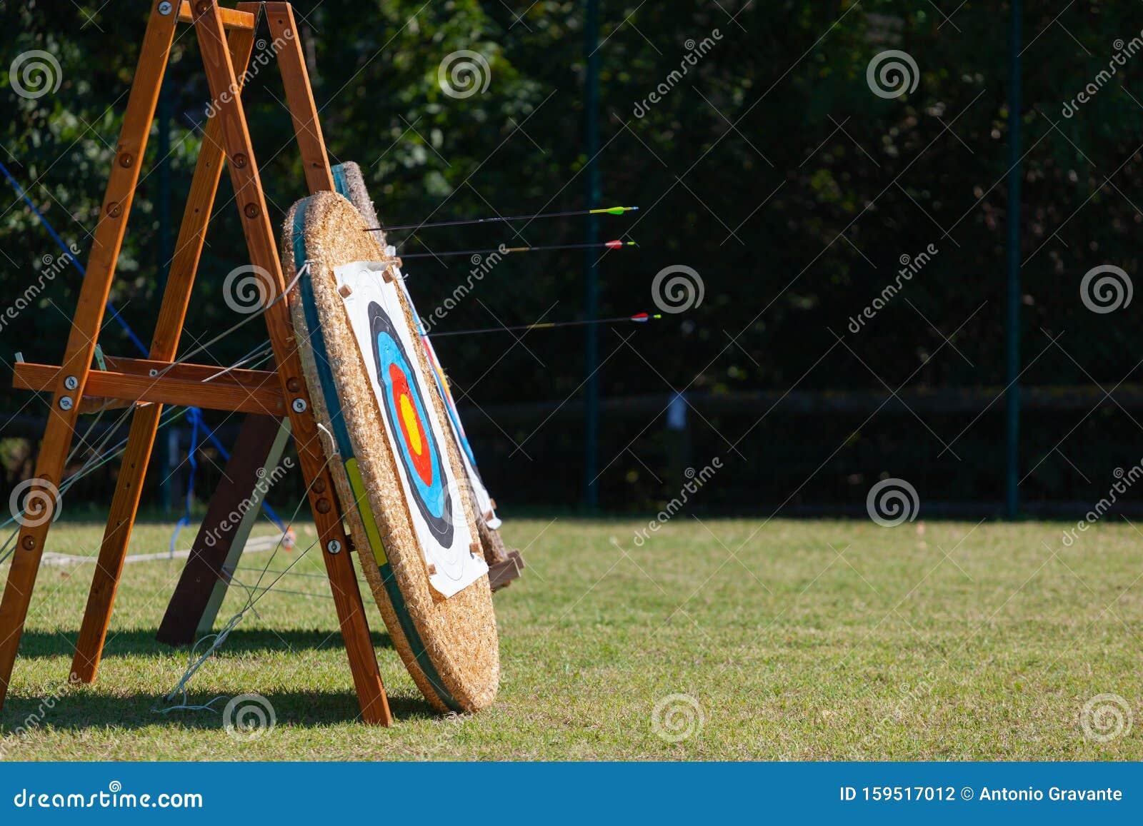 Arrows Embedded in Row of Archery Targets Stock Photo - Image of round ...