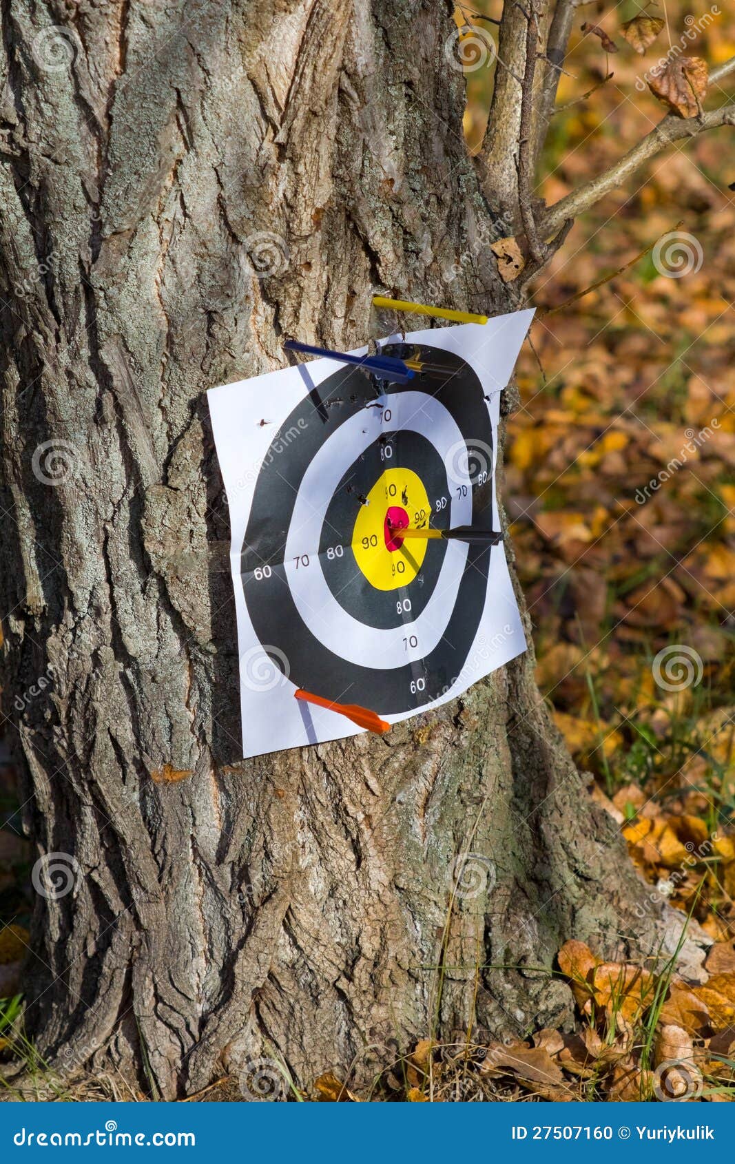 Arrows hit a target stock photo. Image of outdoor, sport - 27507160