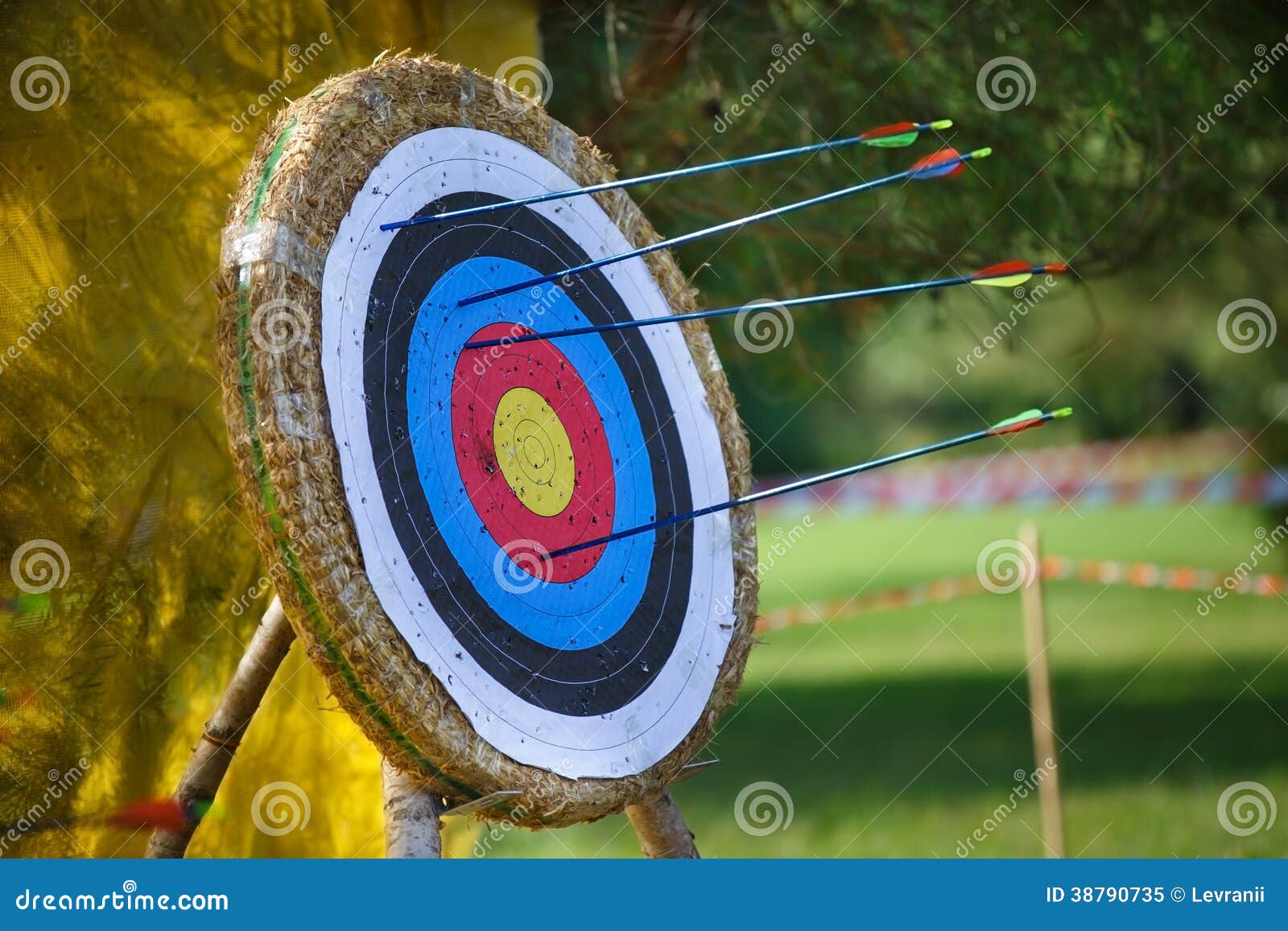 Arrows Missed Target. Concept of Fail-diligent Stock Image - Image of ...