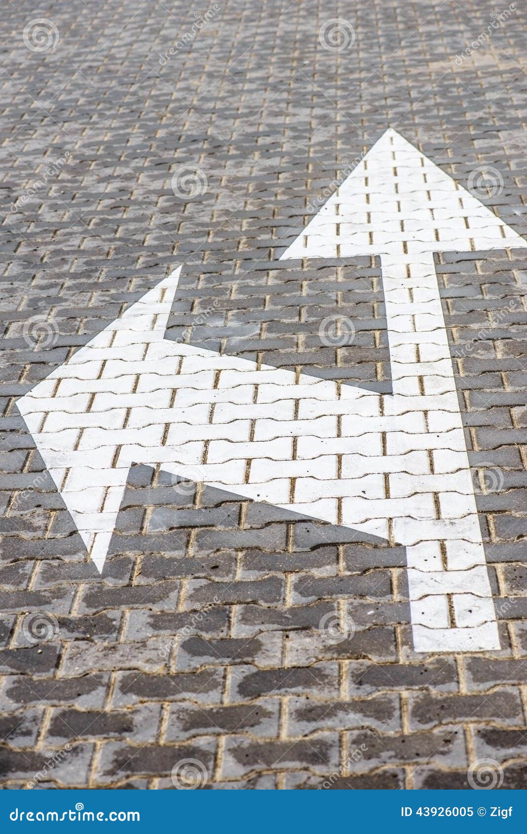 Arrows on road stock image. Image of line, choice, crossroads - 43926005