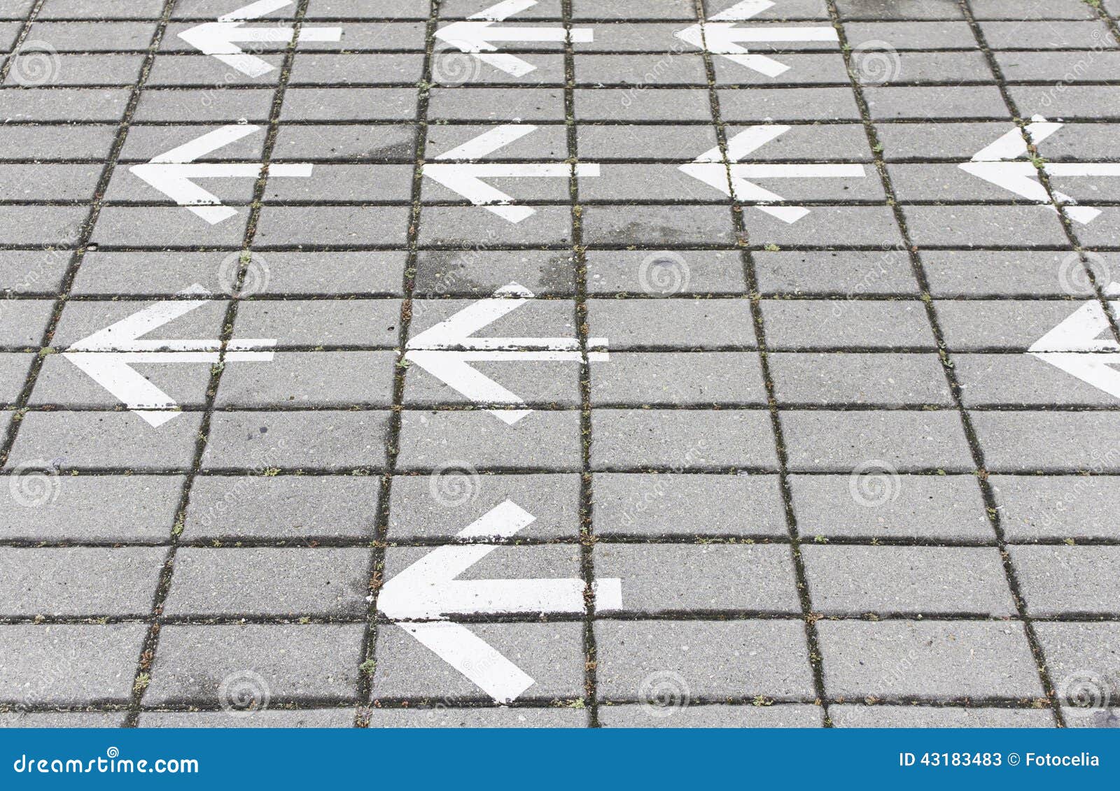 Arrows in street stock image. Image of pavement, future - 43183483