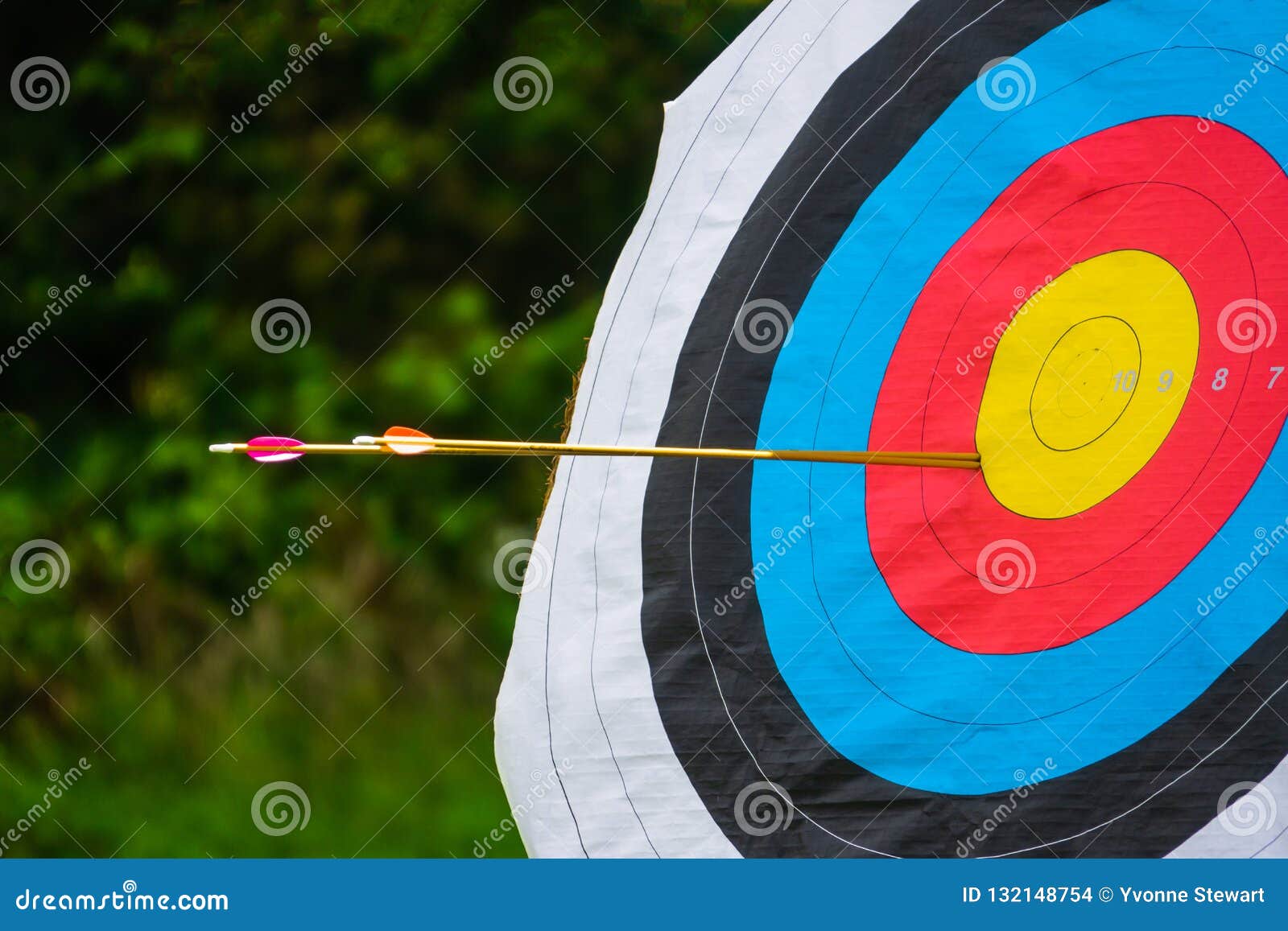 Arrows in a Target at an Archery Competition Stock Photo - Image of ...