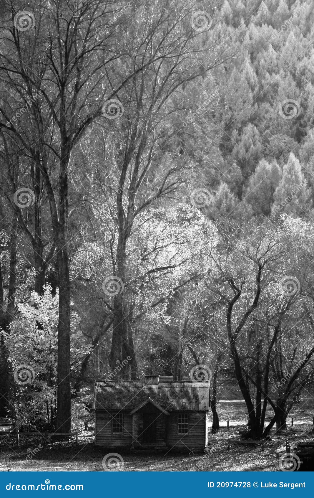 Arrowtown, butler green stock photo. Image of architecture - 20974728