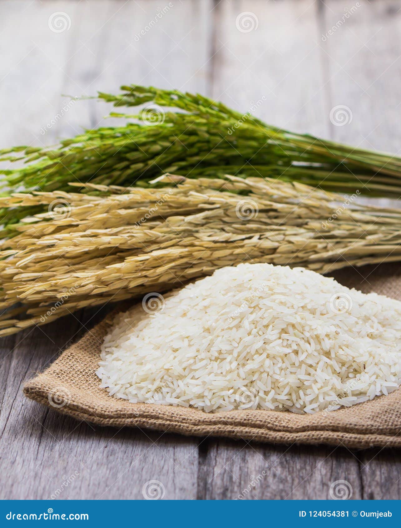 Arroz blanco en el saco imagen de archivo. Imagen de sano - 124054381