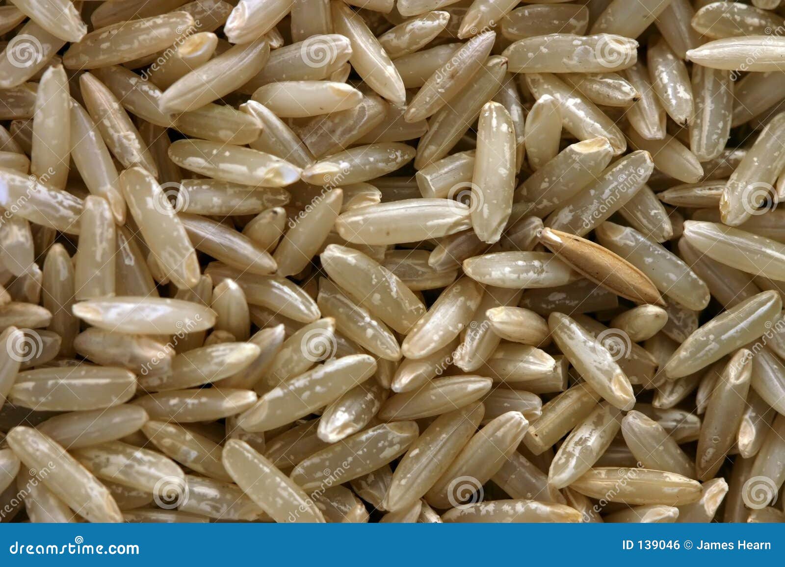 Arroz de grano largo. foto de archivo. Imagen de alimento - 139046