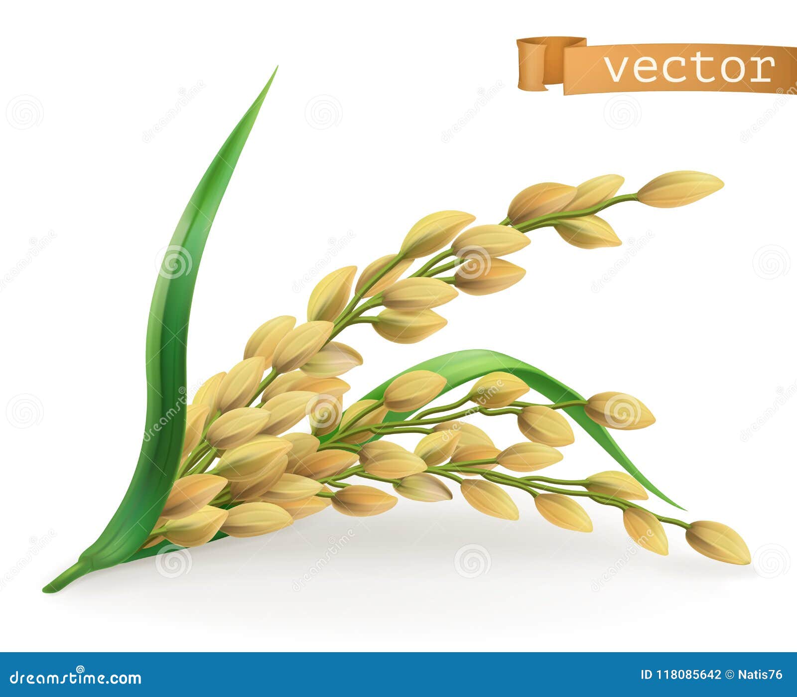 Arroz icono del vector 3d ilustración del vector. Ilustración de hoja ...