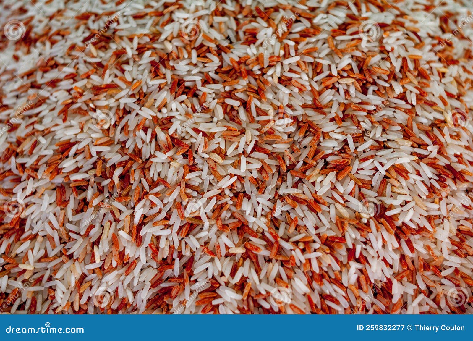 Arroz misturado imagem de stock. Imagem de dieta, seco - 259832277