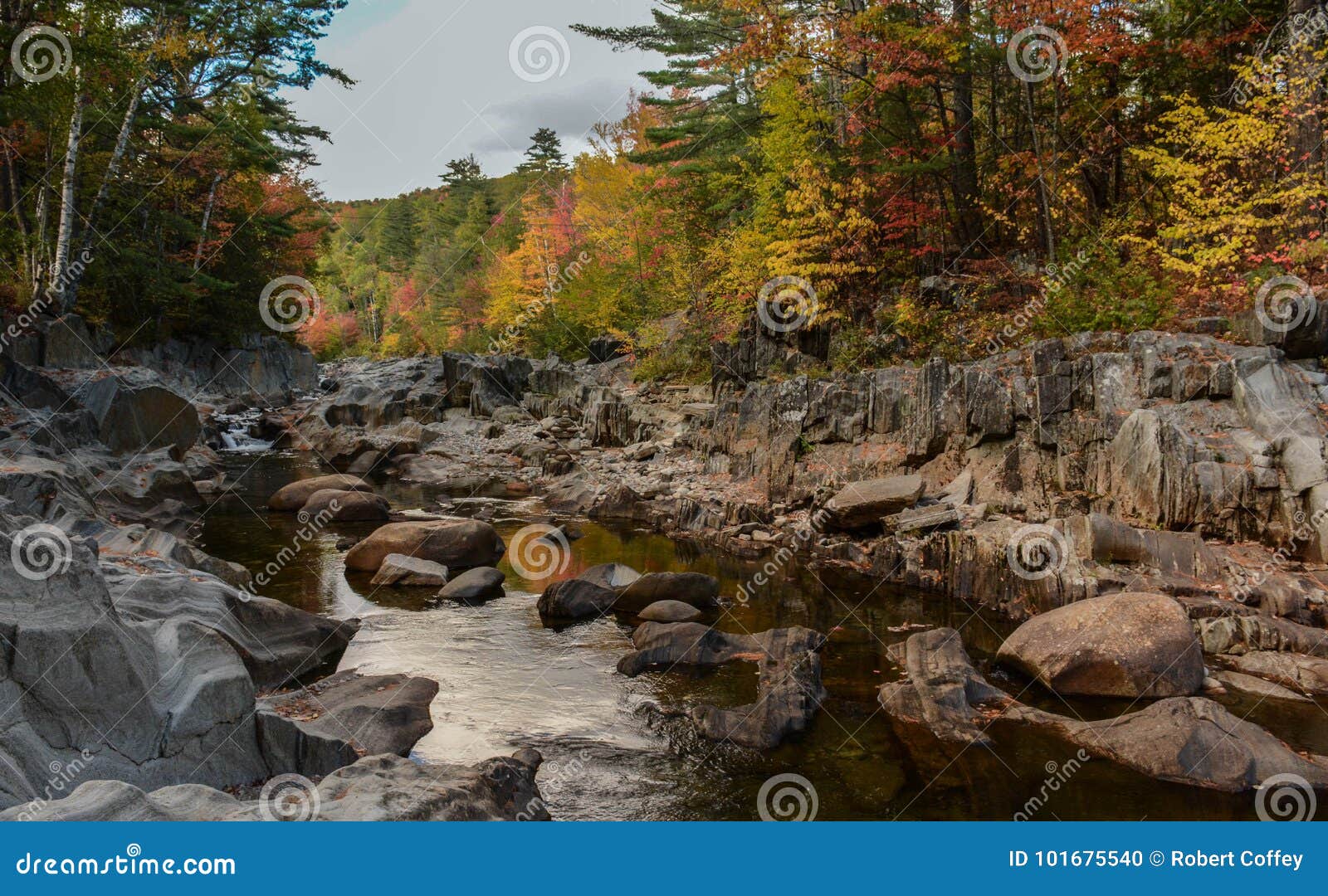 Arrulla La Corriente Del Barranco Foto de archivo - Imagen de color ...