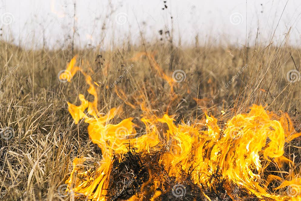 Flames stock photo. Image of heat, arson, fire, danger - 67380646