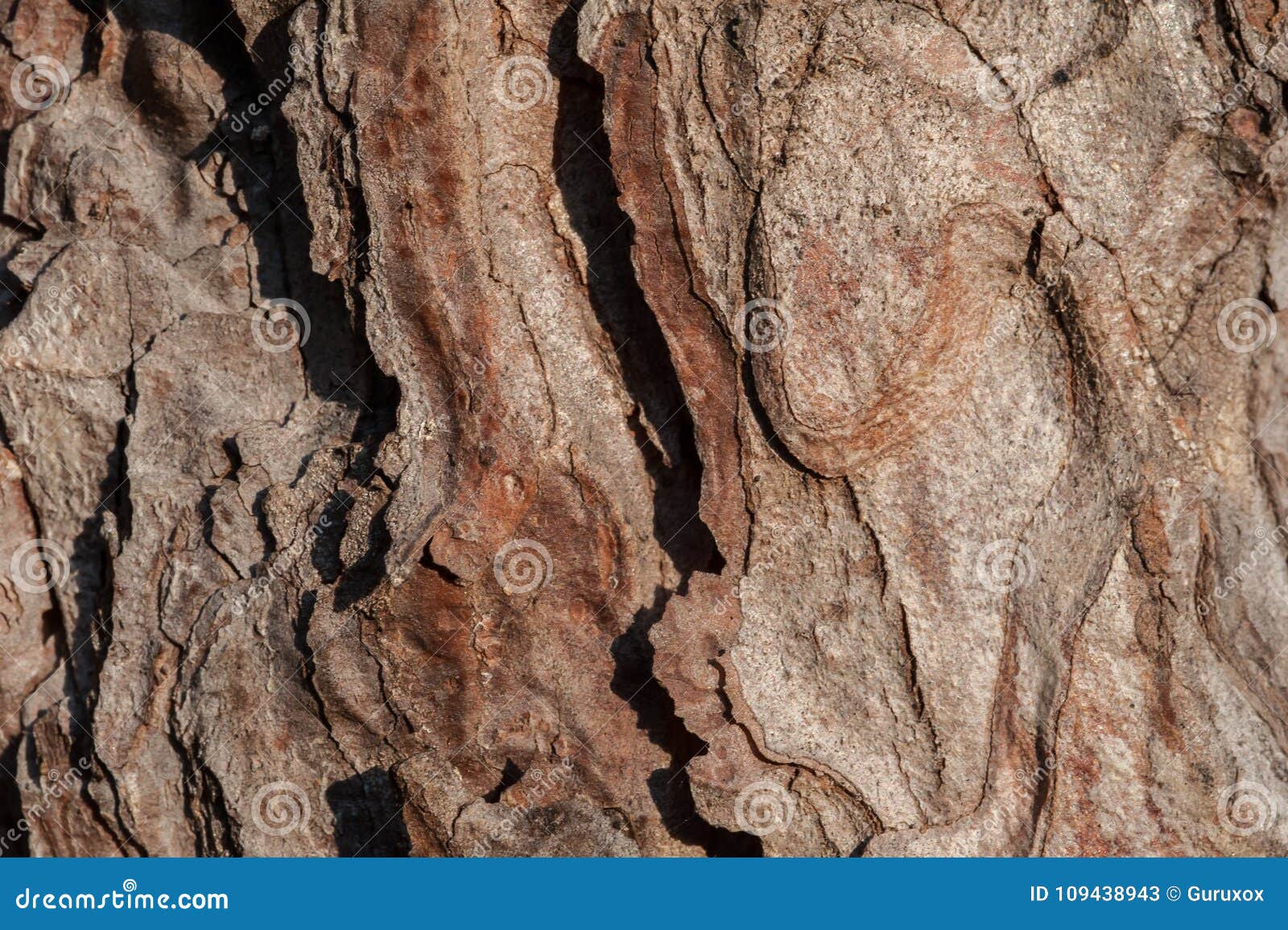 Art, Abstract and Artistic Background Pattern Macro Lens Magnification ...