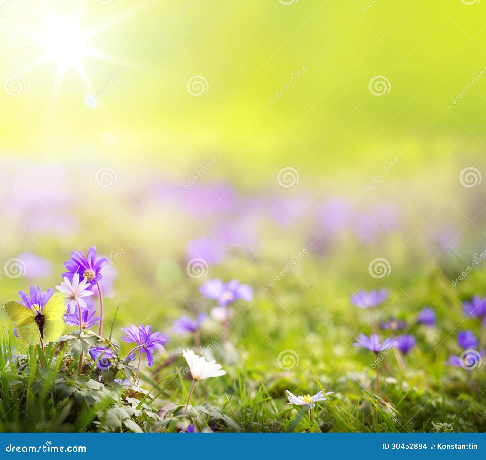 Art Abstract Spring Green Background Stock Photo - Image of light ...