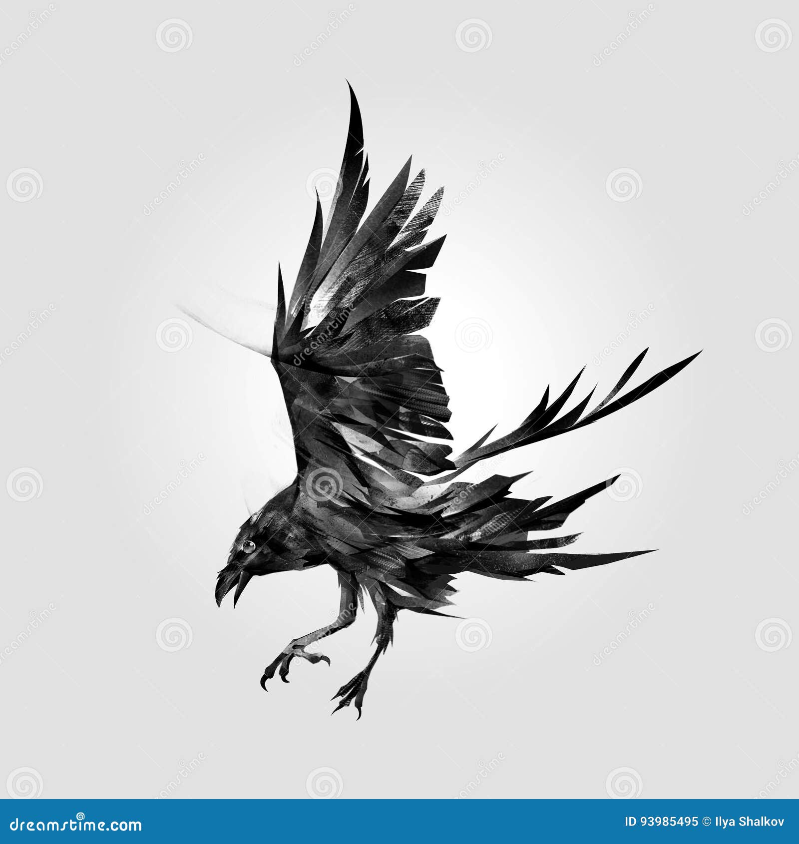 Art of the Attacking Bird Raven Stock Illustration - Illustration of ...