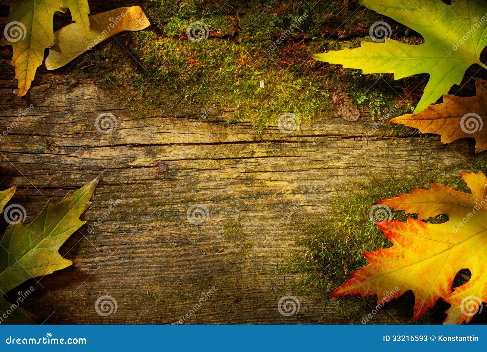 Art Autumn Leaves on Old Wood Background Stock Image - Image of border ...