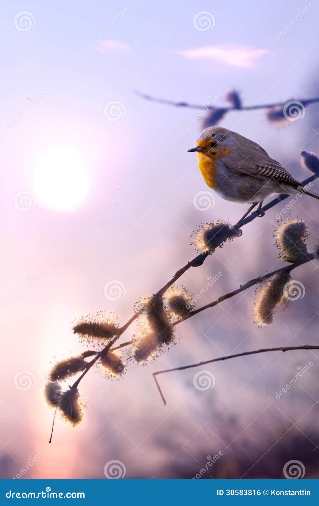 Beautiful Spring Morning