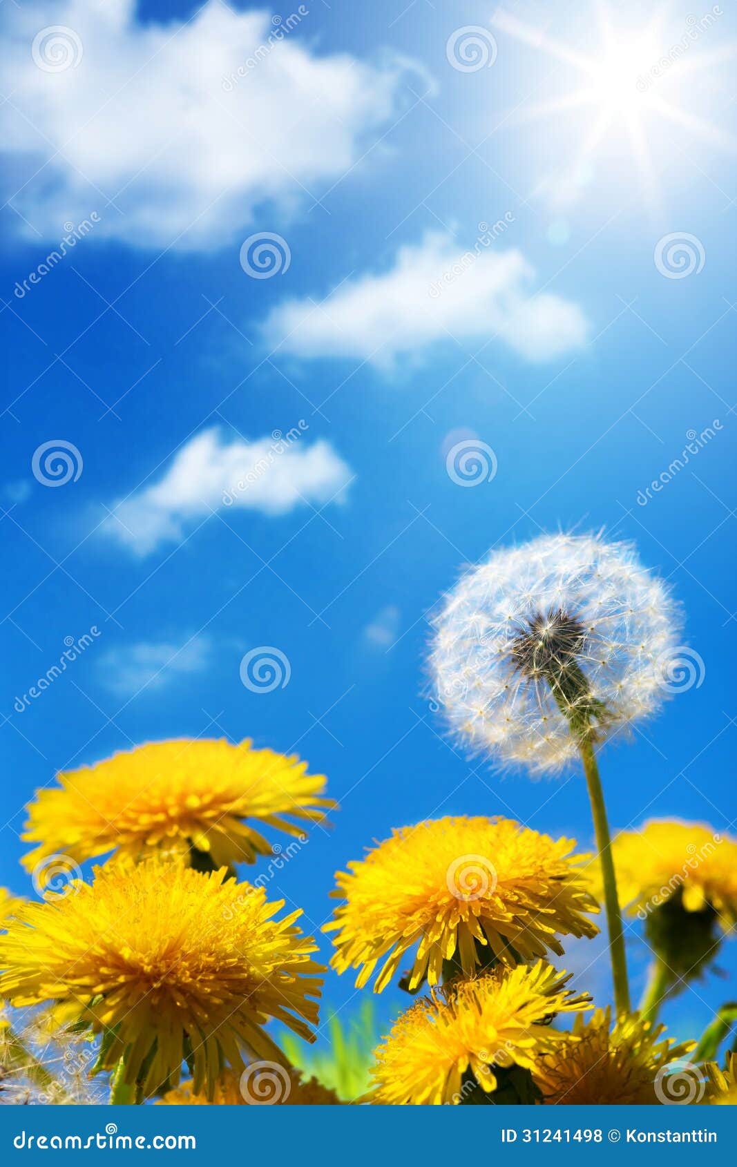 Art Beautiful Spring or Summer Flowers Background Stock Photo - Image ...