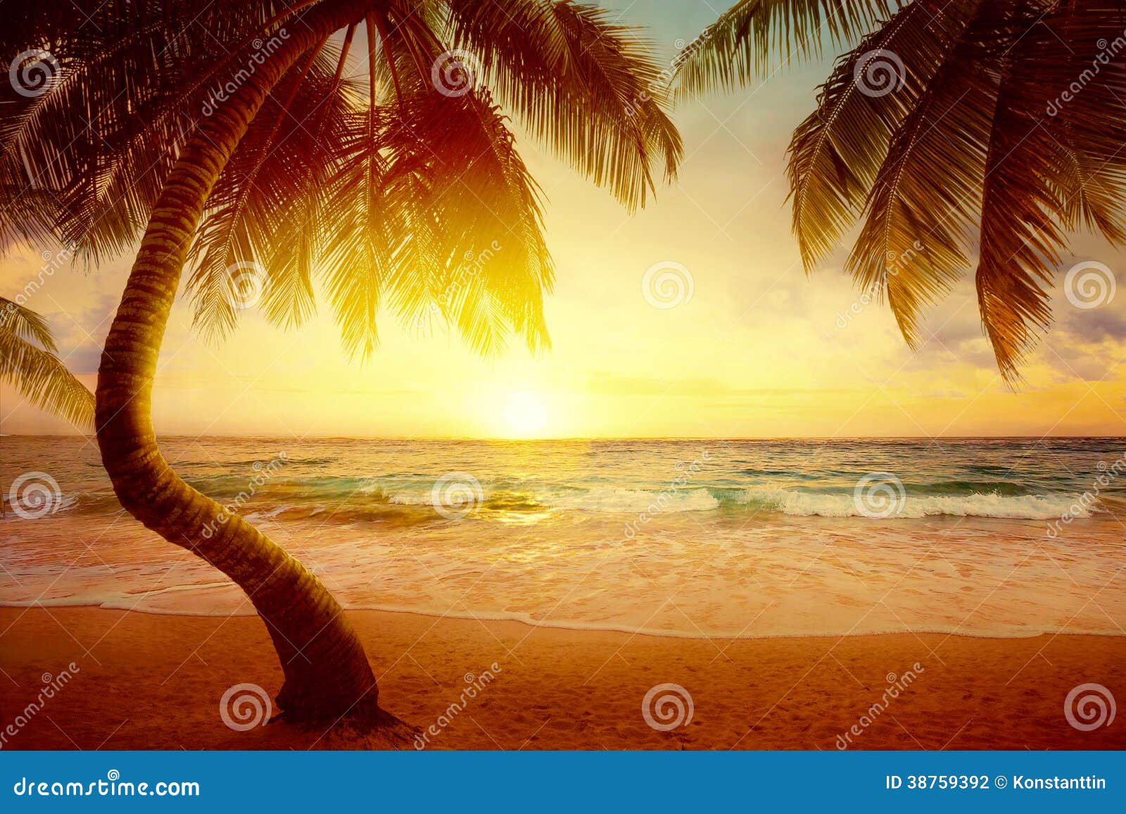 Tropical Beach Sunrise Wallpaper
