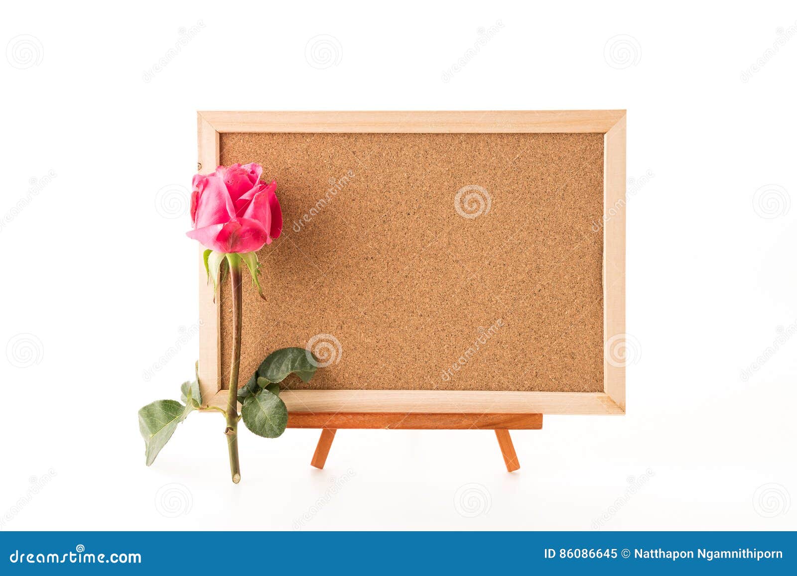 Art board with rose stock image. Image of gift, canvas - 86086645