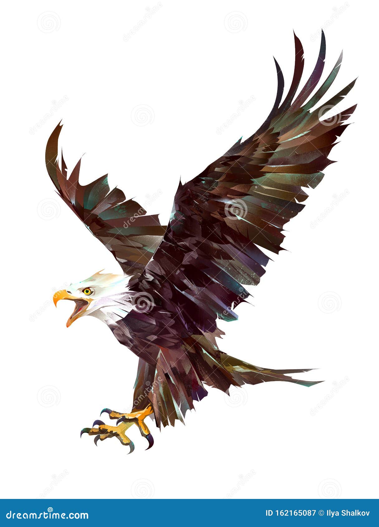Drawn Bright Eagle in Flight on a White Background Stock Illustration ...