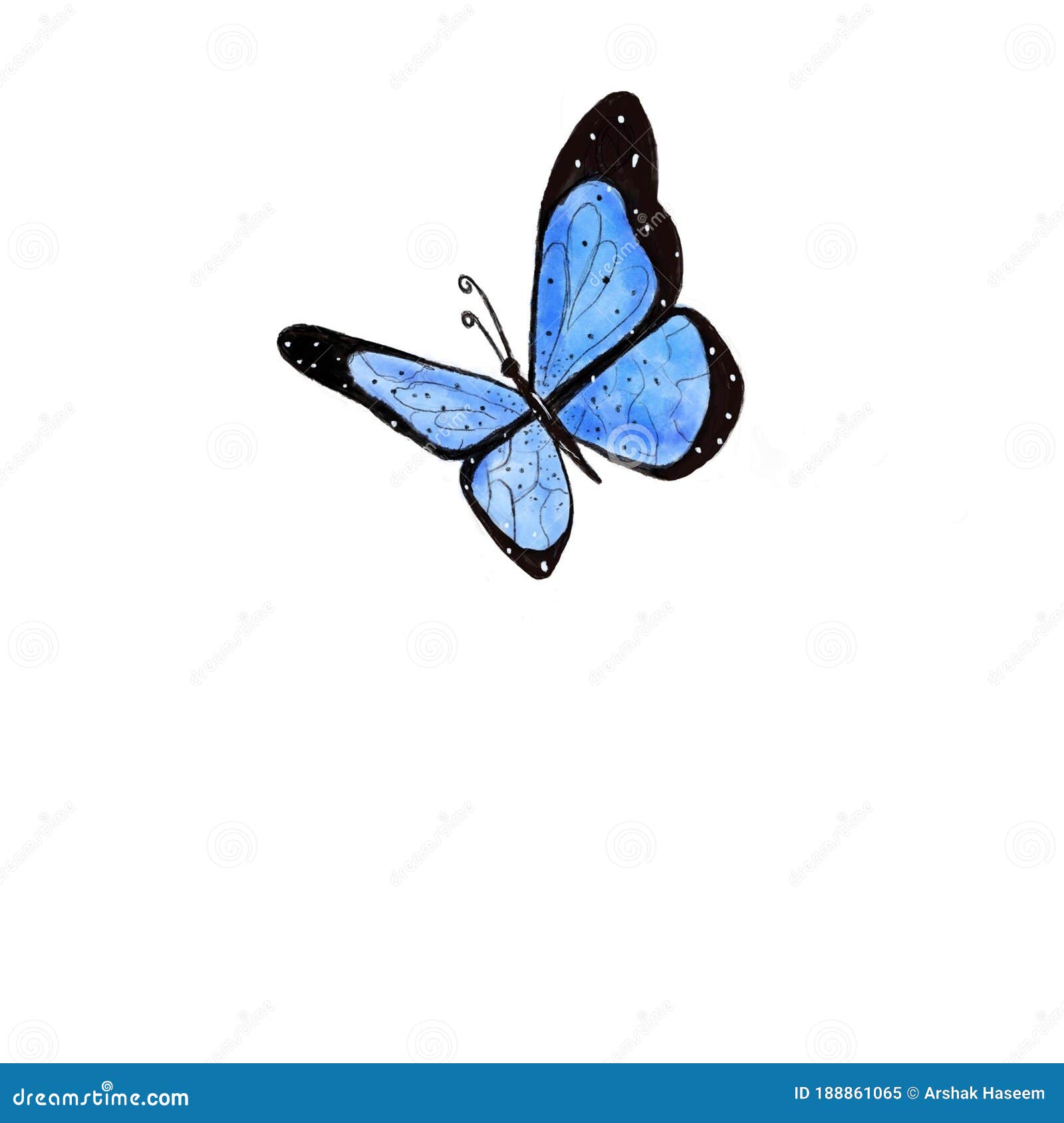 Art Blue Black Butterfly Imagine Stock Illustration - Illustration of ...