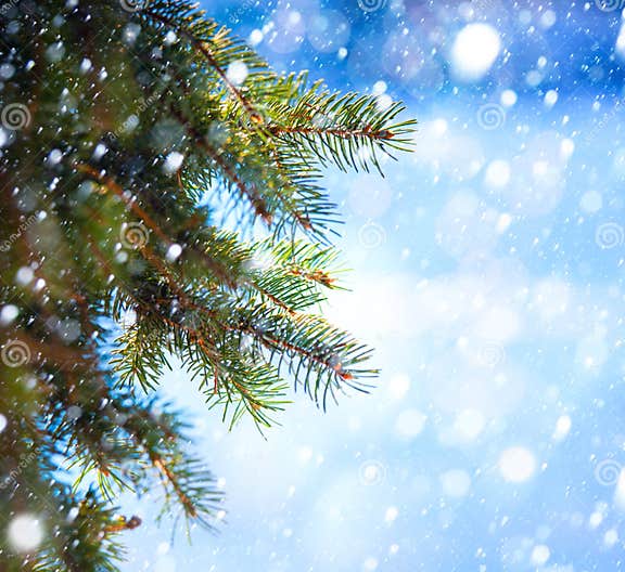 Art Christmas Tree Branch and Snow Fall Stock Photo - Image of card ...