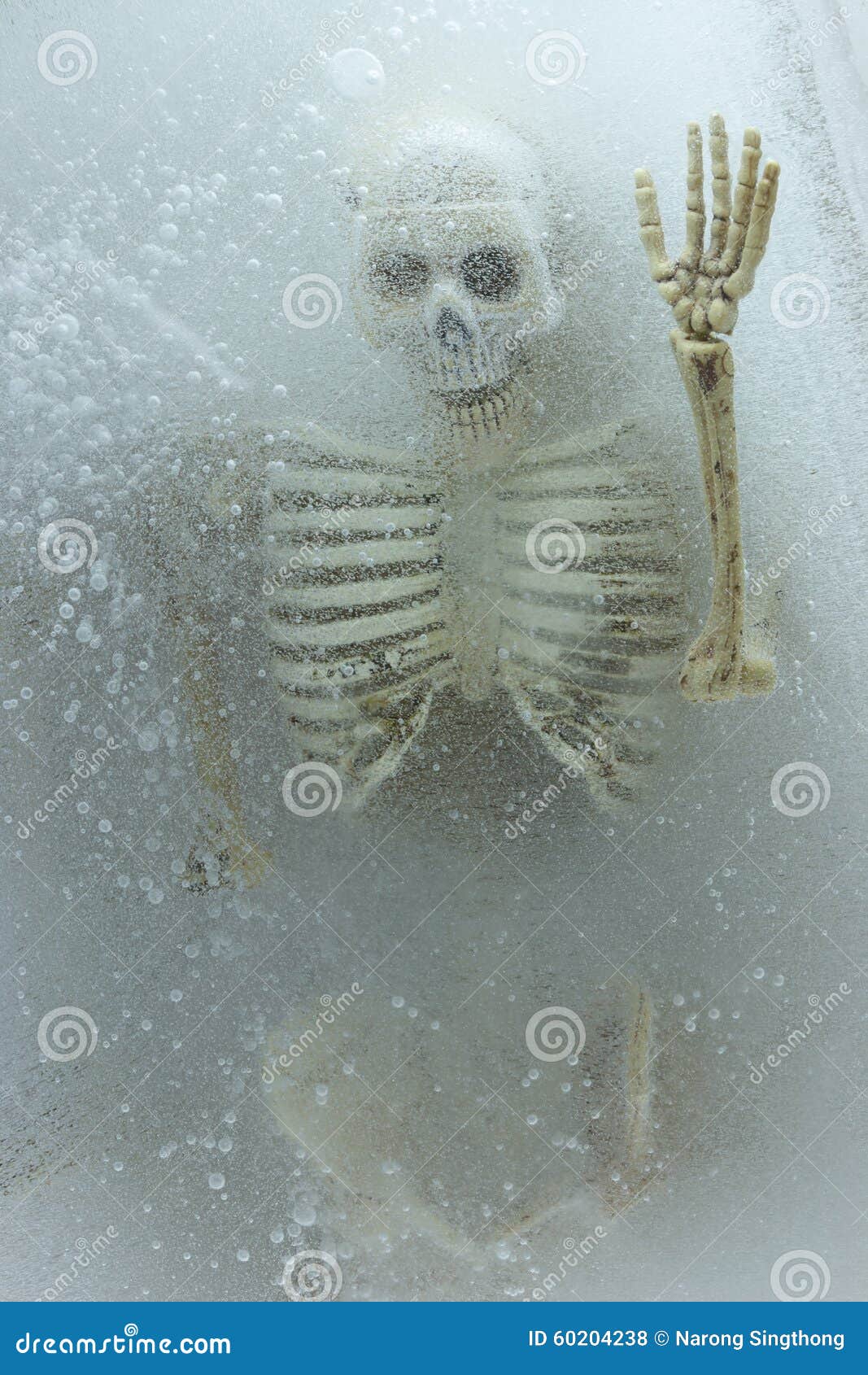 Art Concept Death on Ice,skeleton in Ice Stock Photo - Image of cold ...