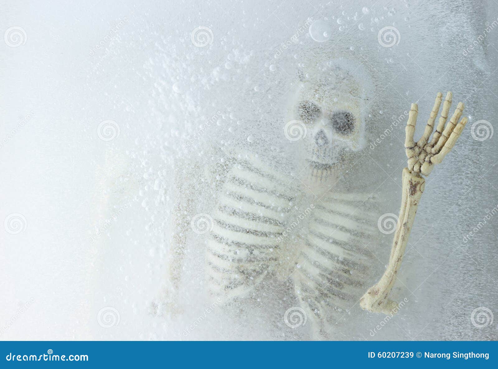Art Concept Death on Ice,skeleton in Ice Stock Image - Image of ...