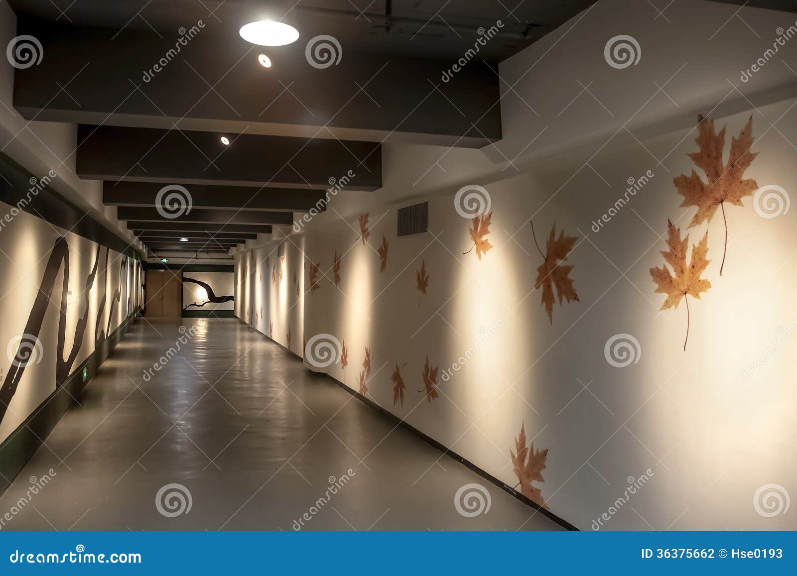 Art Corridor in Exhibition Hall Editorial Photography - Image of ...