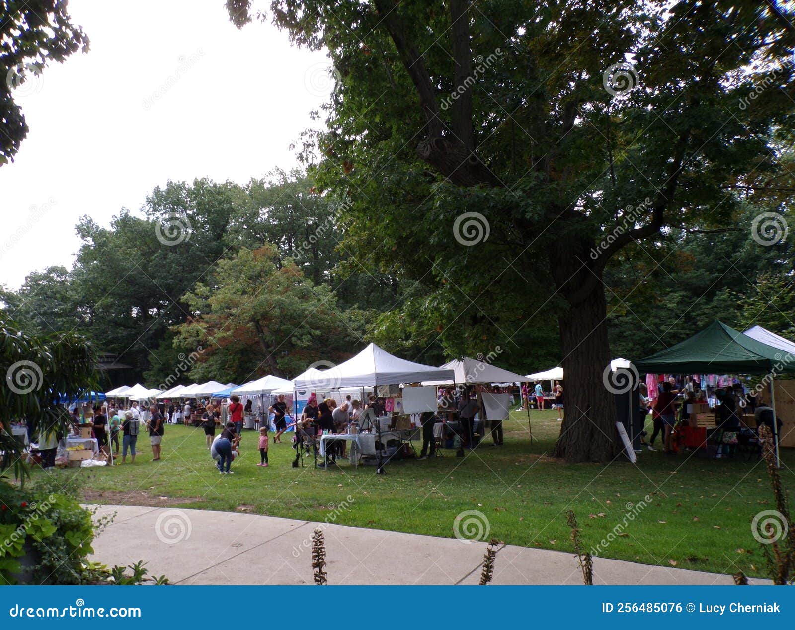 Art and Craft Market editorial photo. Image of nature - 256485076