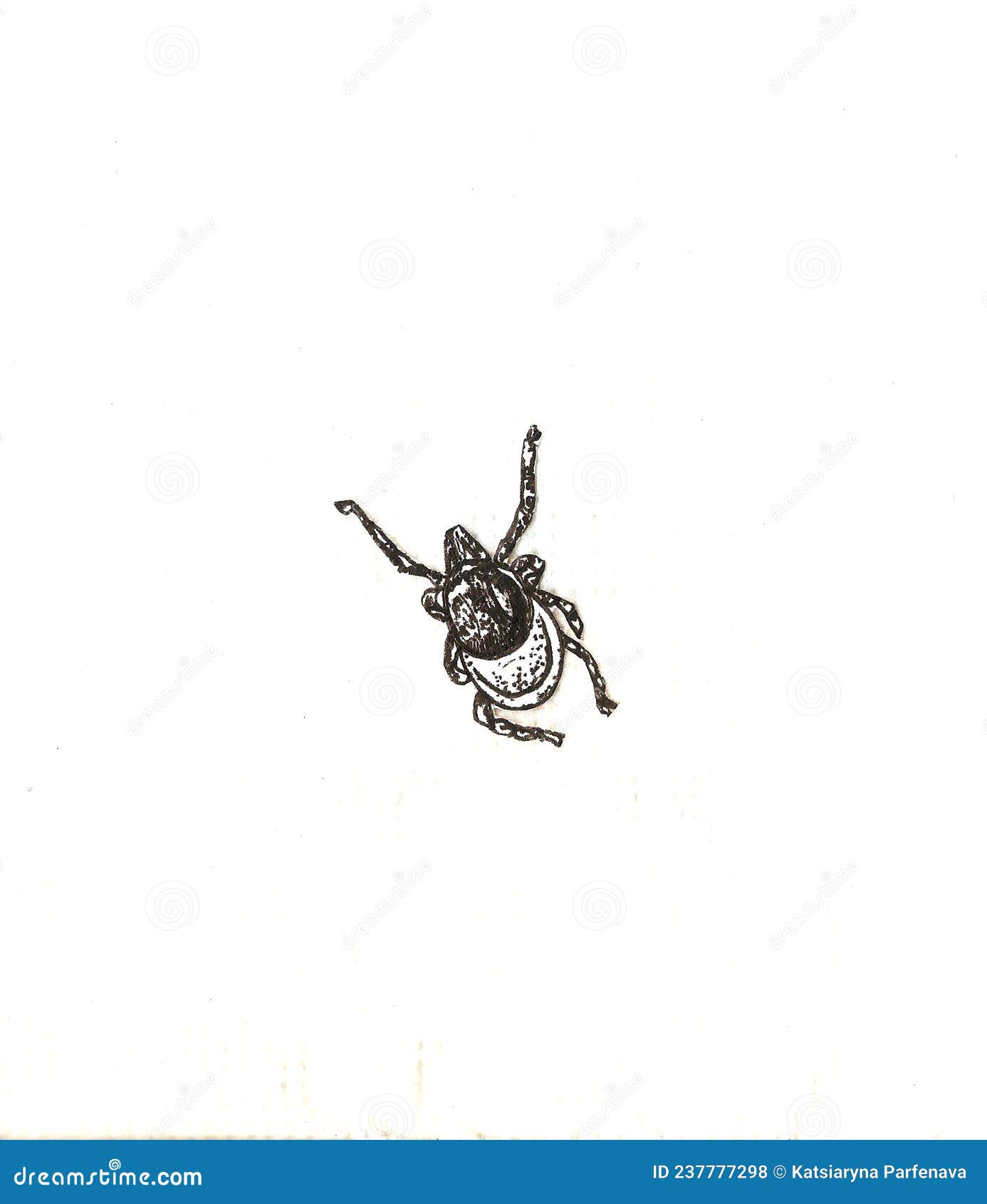 Art Drawing Insect - Tick Forest Stock Illustration - Illustration of ...