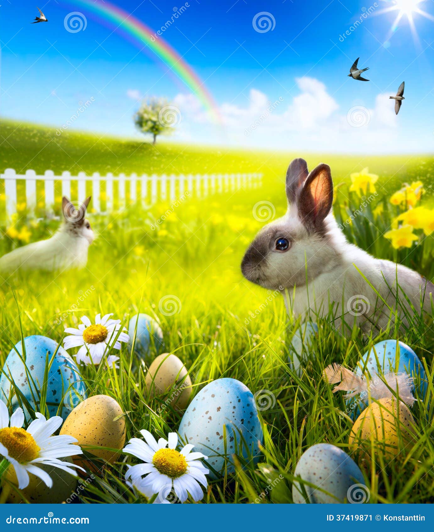 Art Easter Bunny Rabbit and Easter Eggs on Meadow. Stock Image - Image ...
