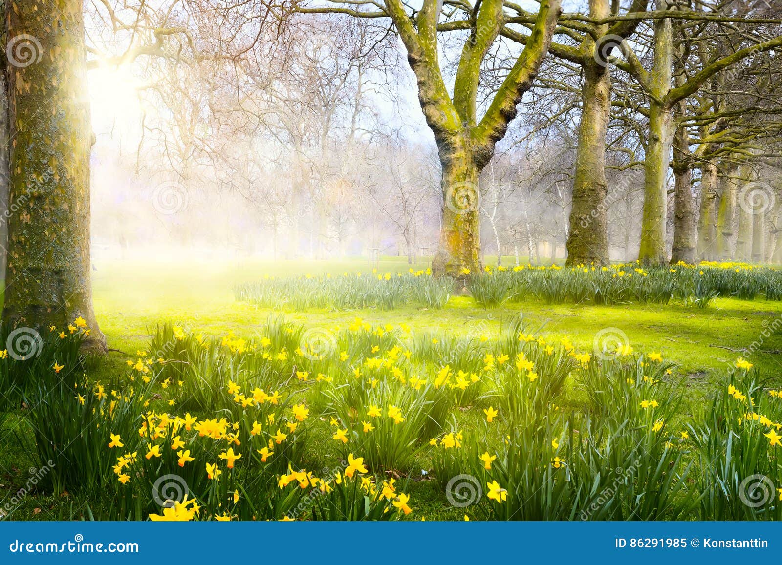 Art Easter Landscape; Spring Flowers in the Park; Stock Image - Image ...