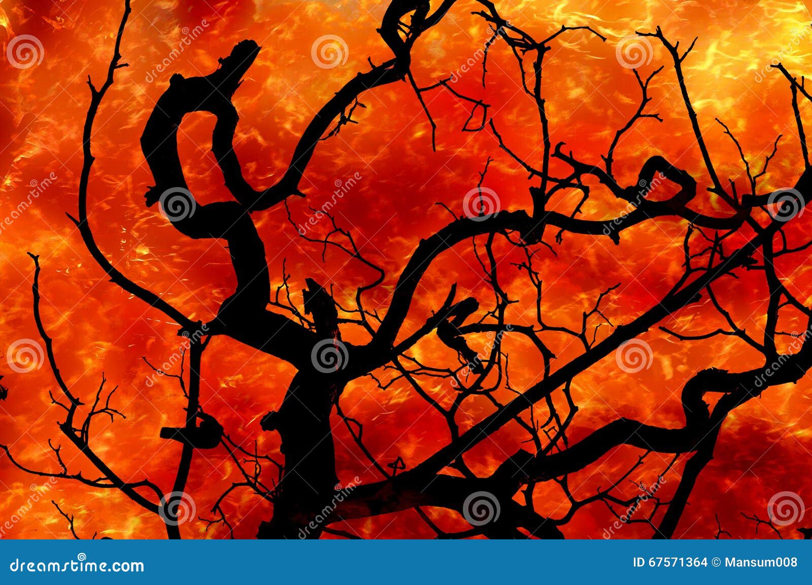 Art fire burning dry tree stock illustration. Illustration of backdrop ...