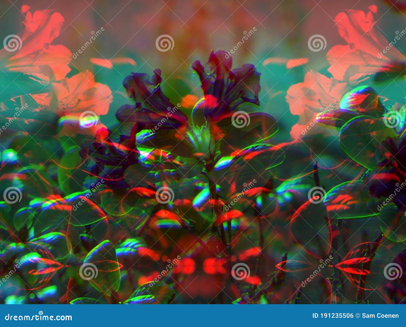 Art Flowers Glitch Abstract Nature Stock Photo - Image of abstract ...