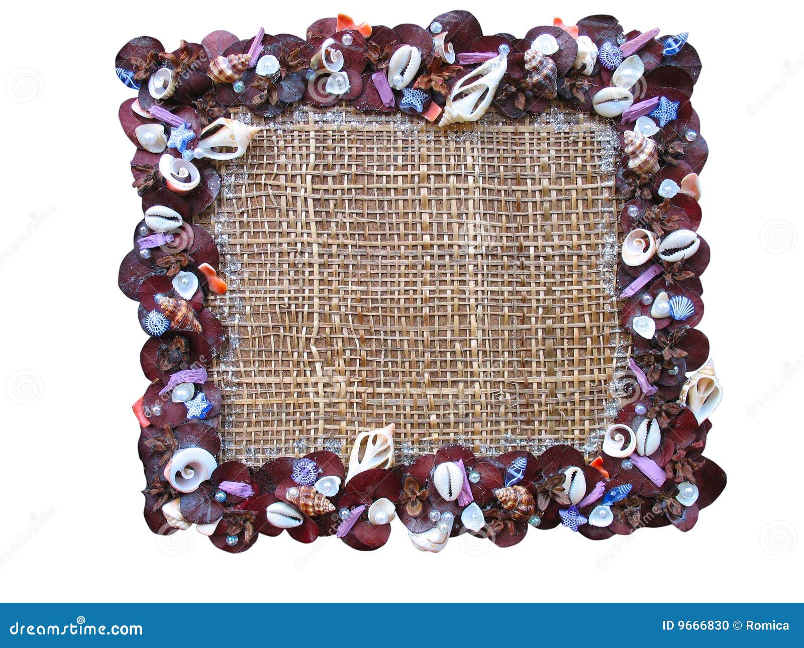 Art Frame with Cockle Shells Pattern on Canvas Stock Illustration ...