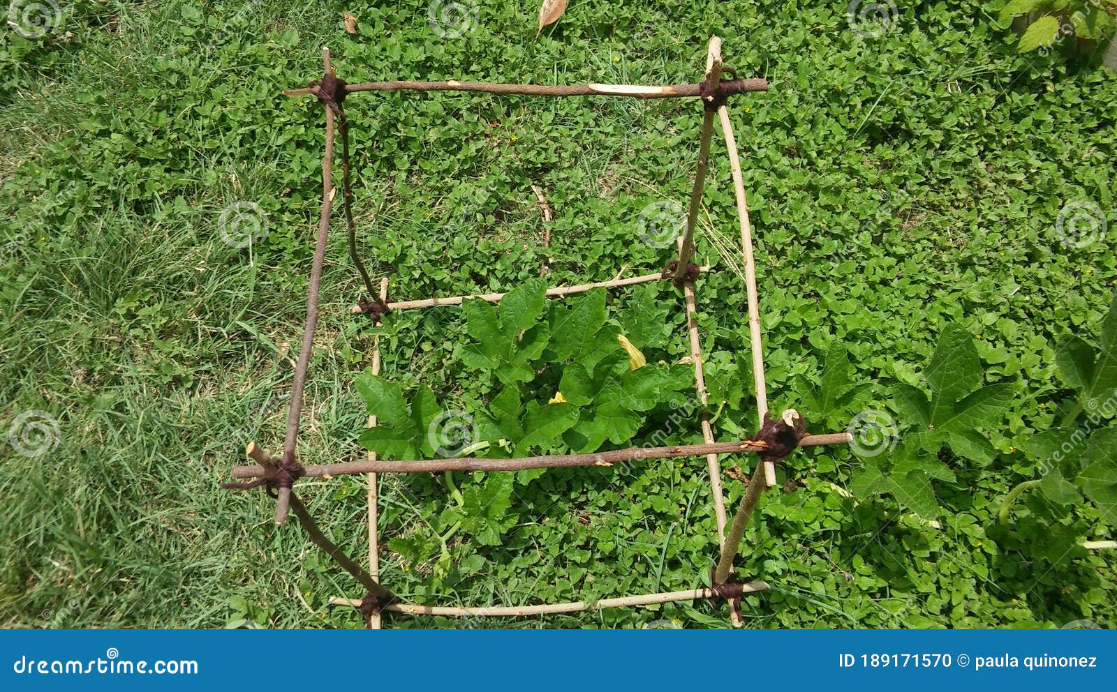 Art on the the Garden a Cube Made of Sticks Stock Photo - Image of ...