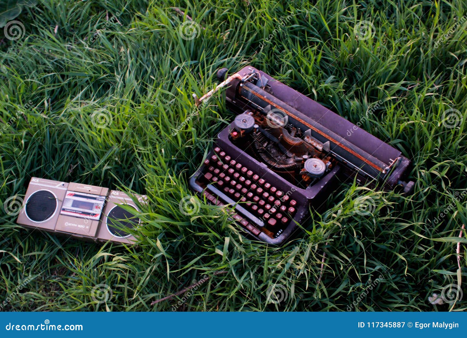 Art in grass stock image. Image of recorder, green, nature - 117345887