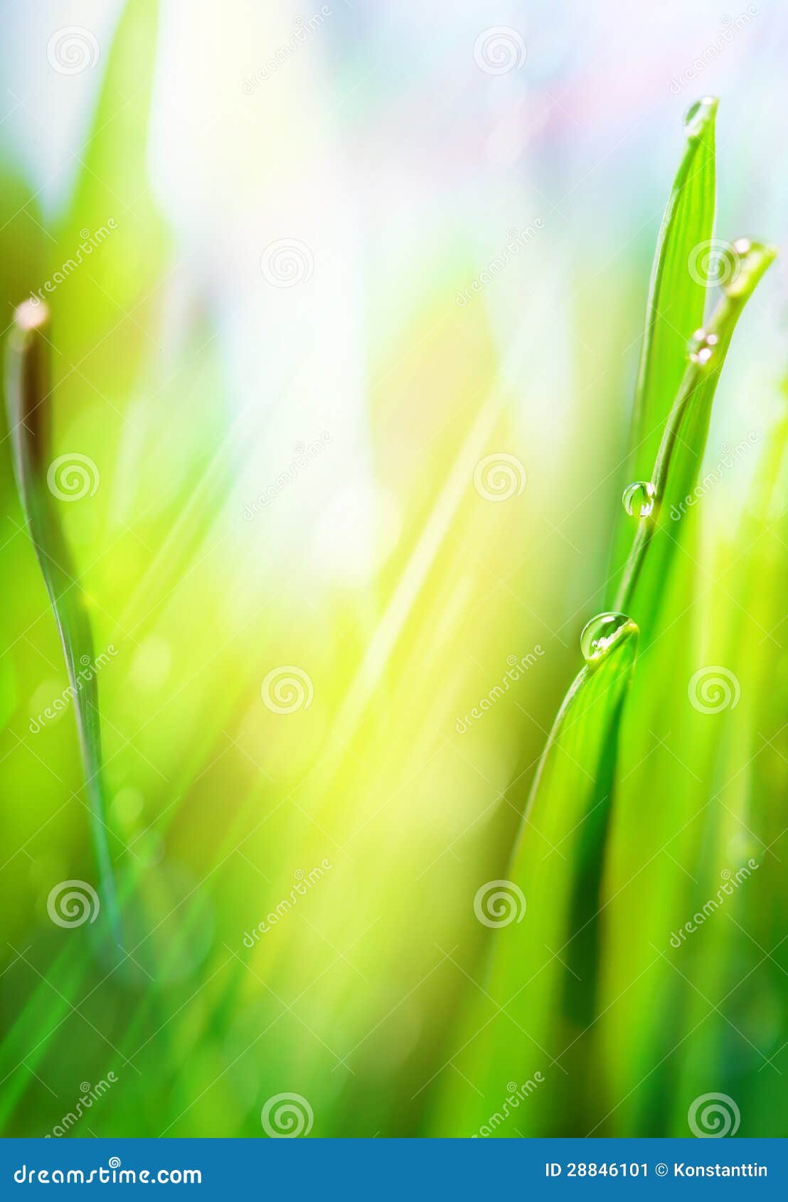 Art Green Spring Abstract Light Background Stock Image - Image of ...