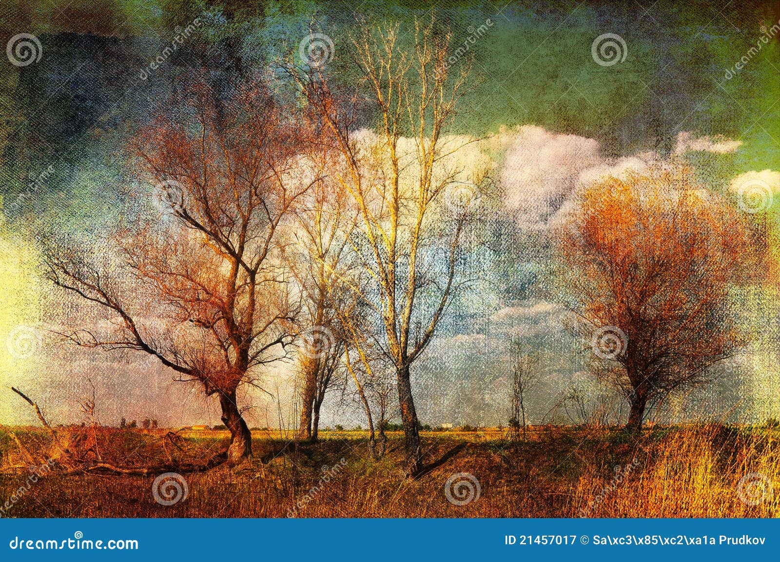 Creepy Landscape Showing A Misty Dark Forest With Dead White Trees ...