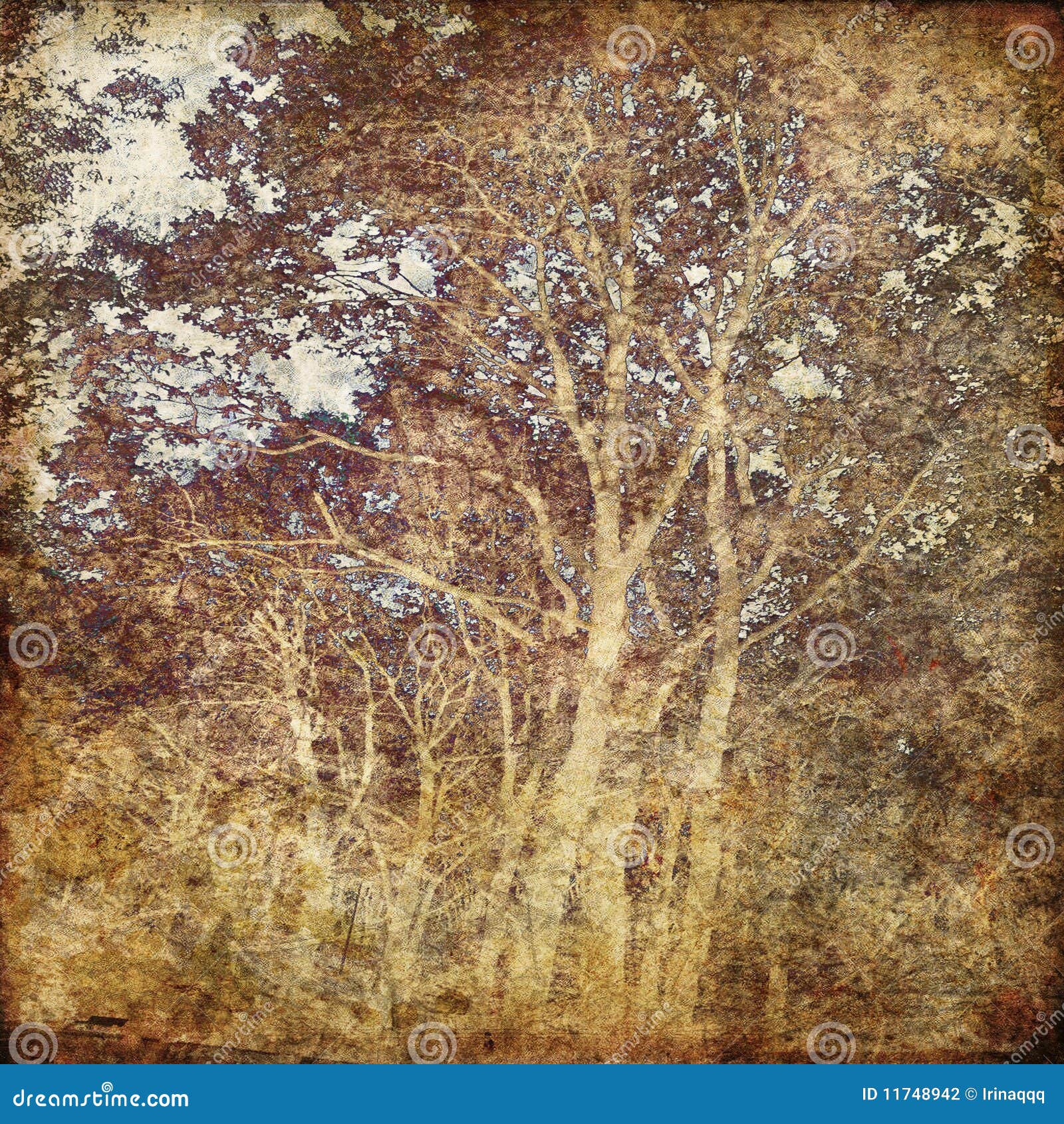 Art Grunge Forest Background Card Stock Photo - Image of grow, curve ...
