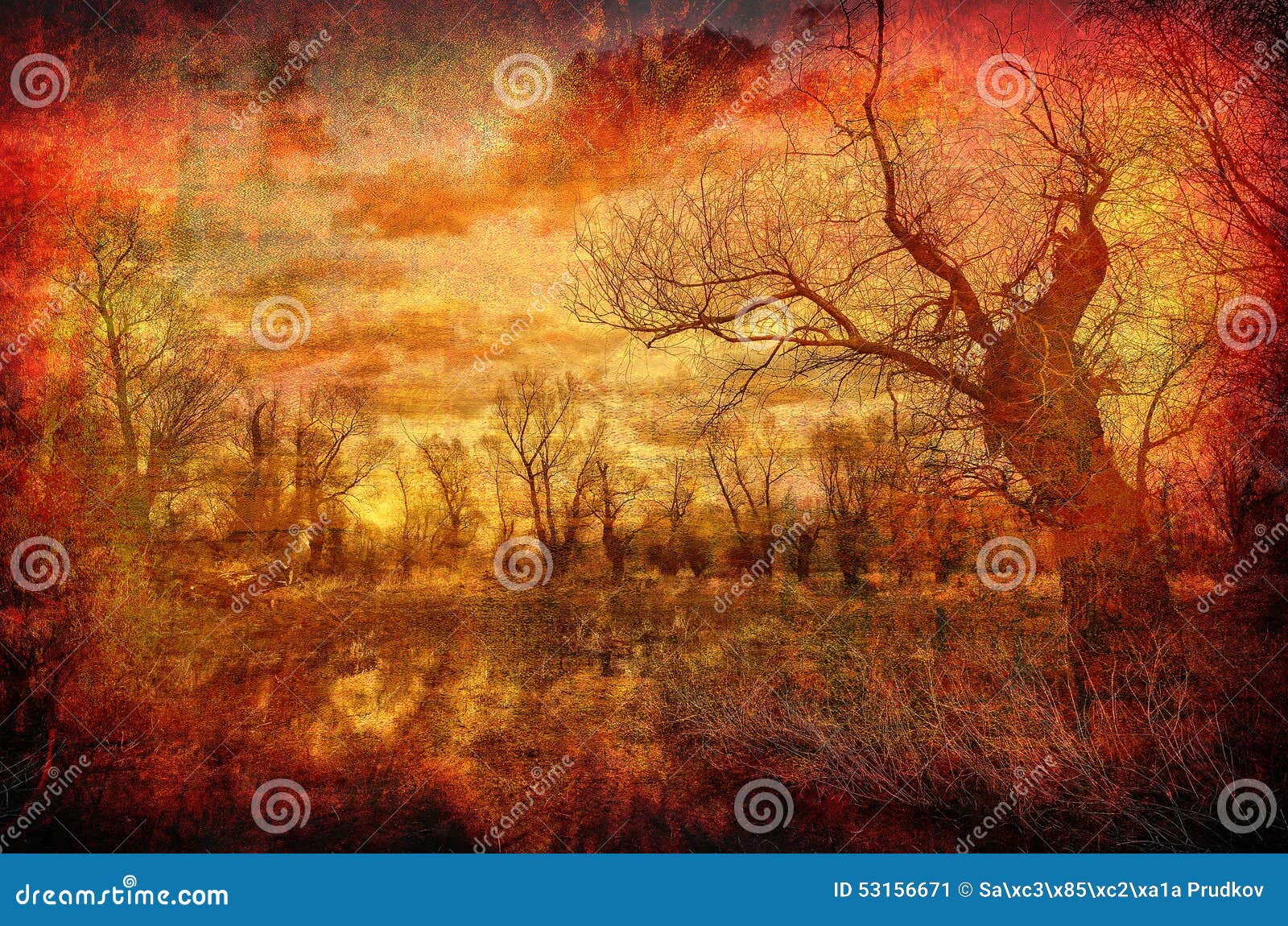 Art Grunge Landscape Spooky Forest in Spring Stock Image - Image of ...