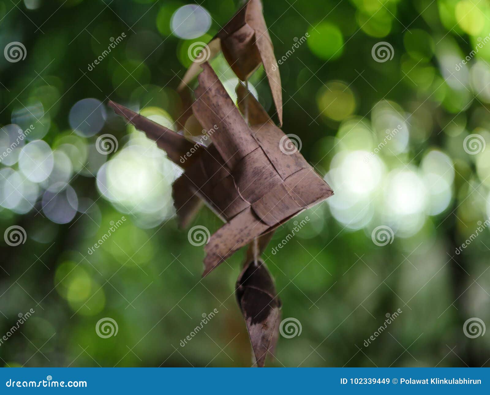 The Fish Model Made from Coconut Leaf Stock Image - Image of pattern ...
