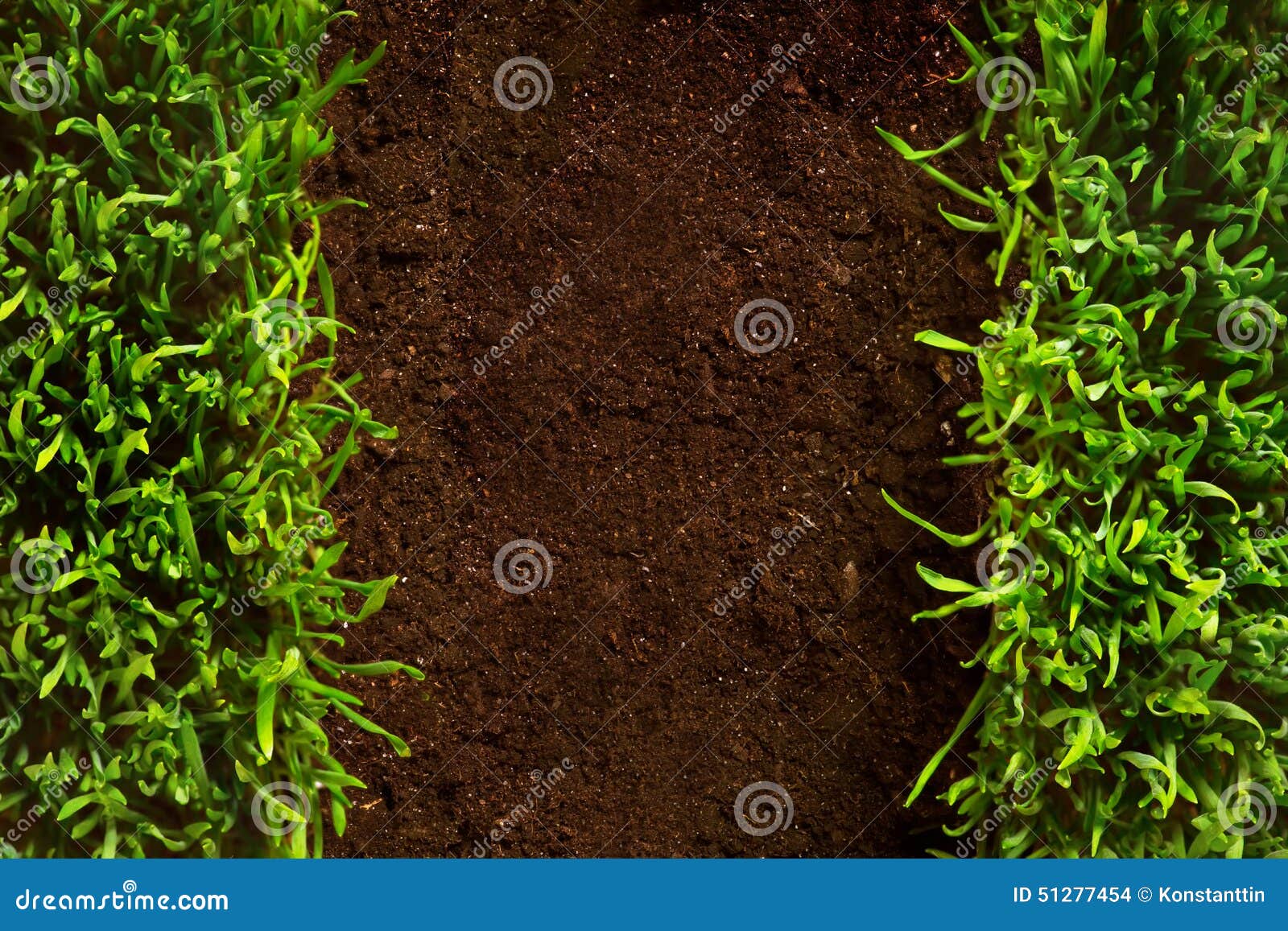 Art Healthy Grass Growing in Soil Pattern Stock Photo - Image of ...