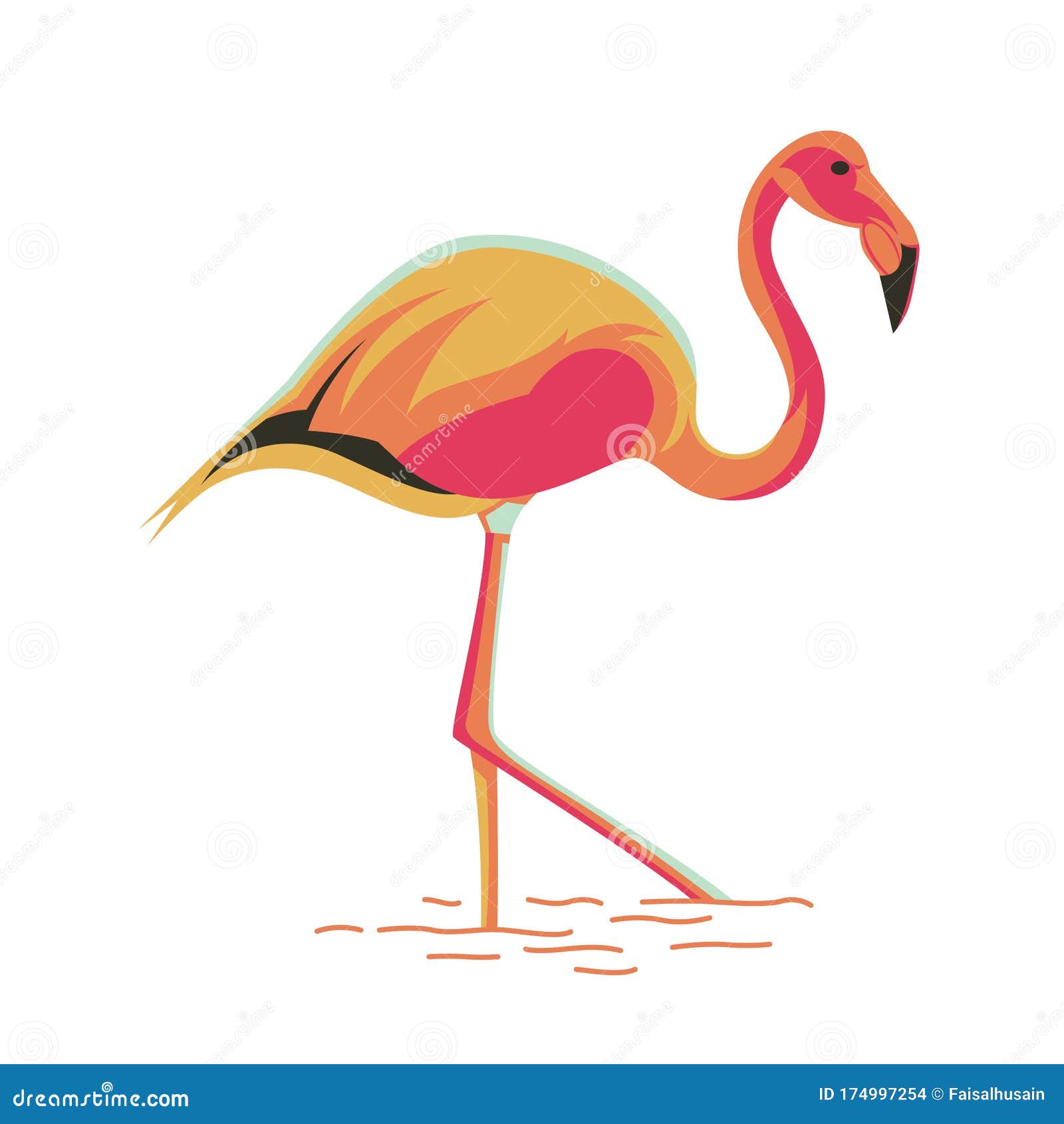 Colorfull Flamingo Vector Illustration Stock Vector - Illustration of ...