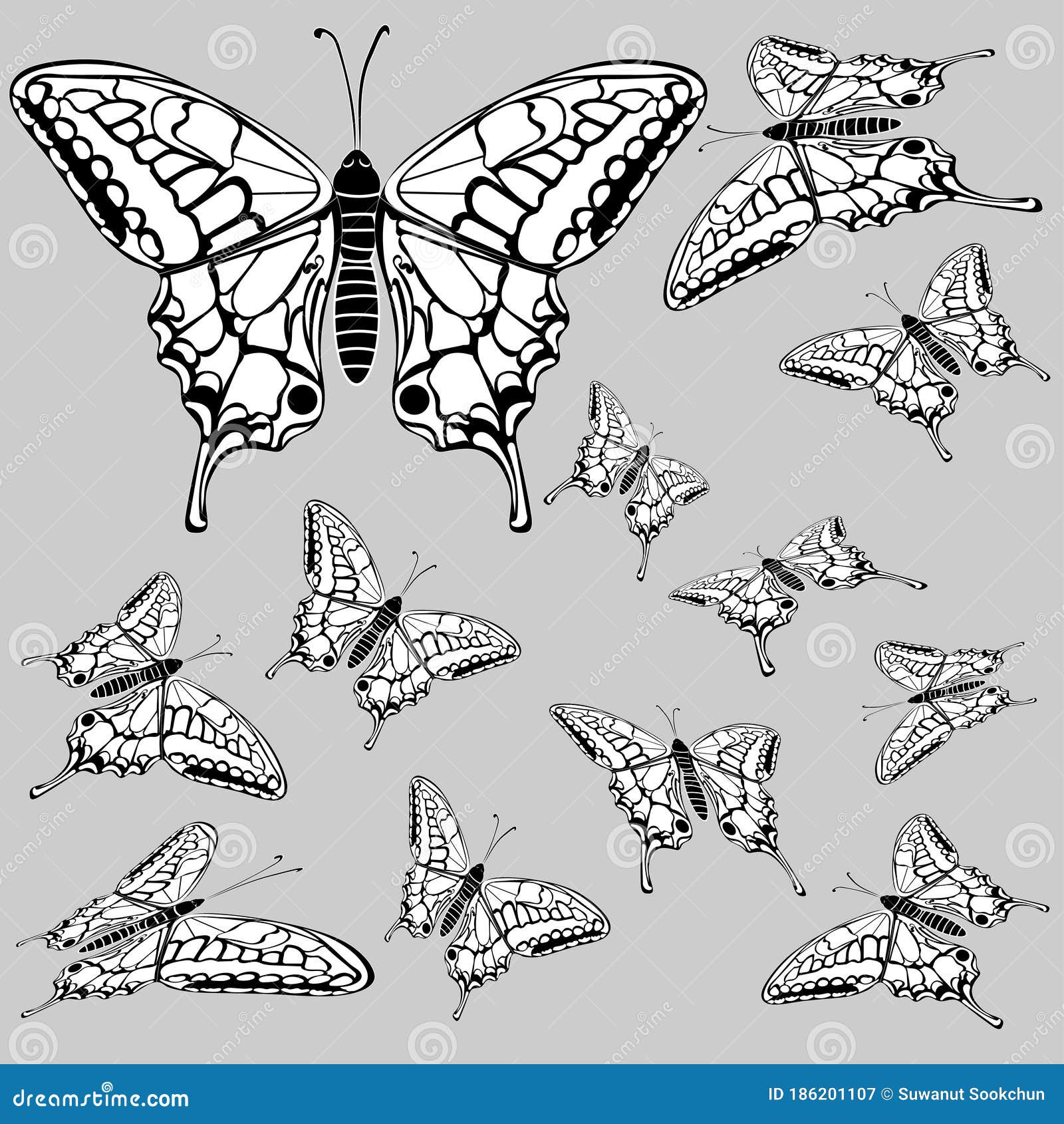 9 Swallowtail Pattern Vector Design Stock Vector - Illustration of ...
