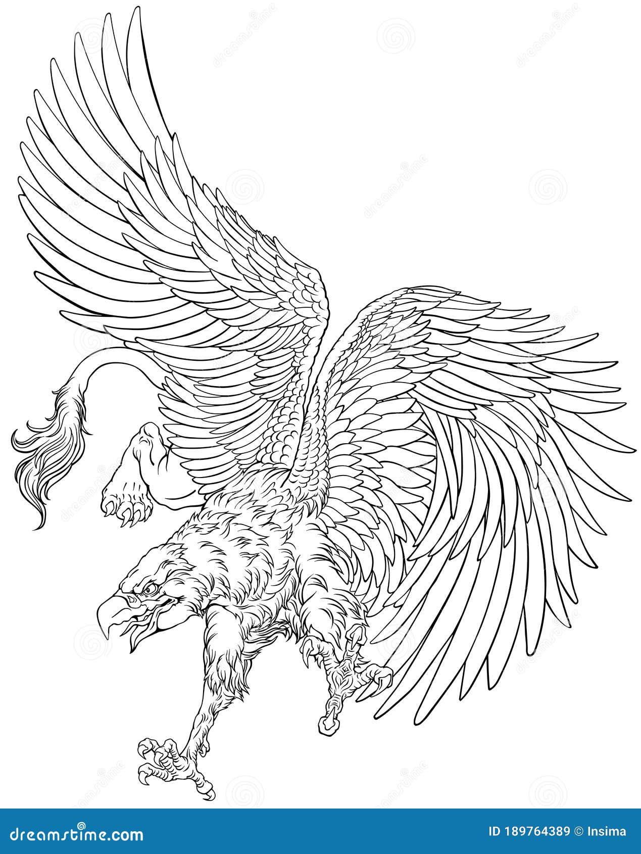 Flying Griffin or Griffon. Black and White Outline Stock Vector ...