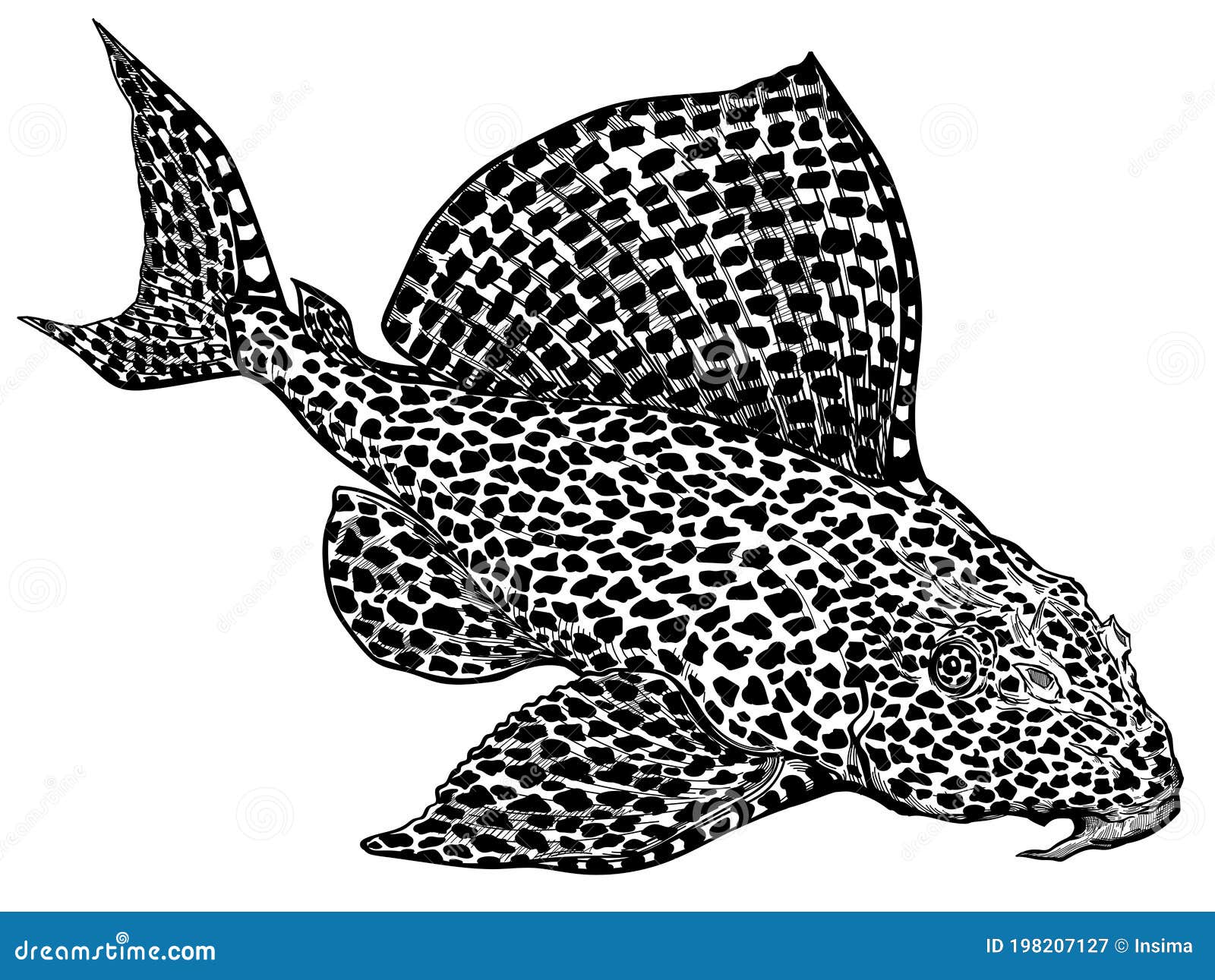 Leopard Pleco. Freshwater Suckermouth Catfish Stock Vector ...