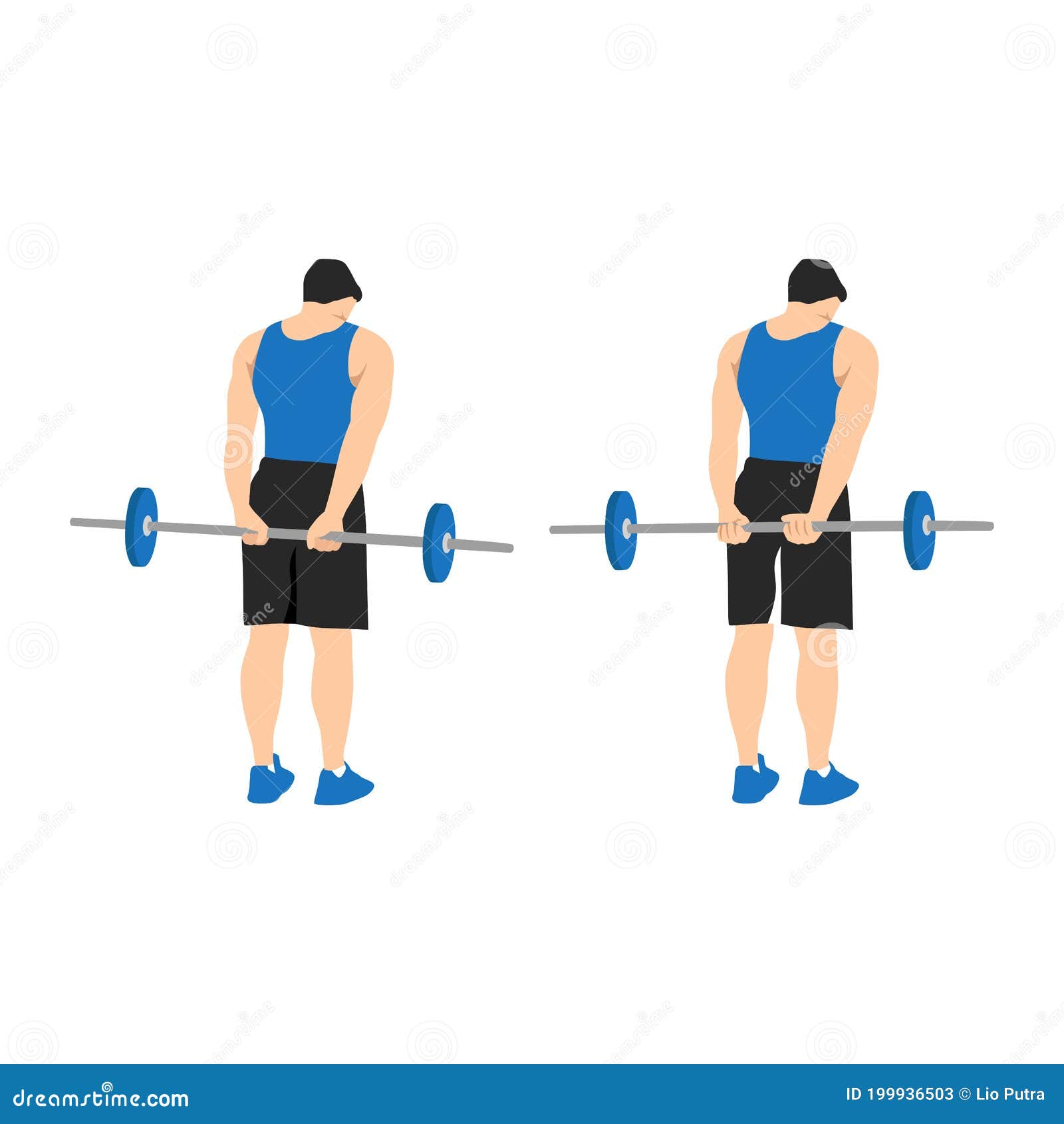 Behind the Back Standing Bicep Curl Infographic Art Stock Vector ...